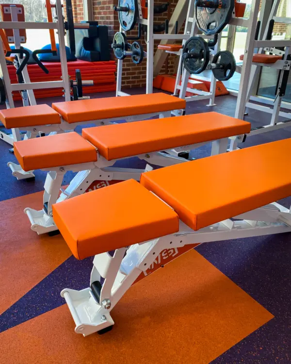 [WS] Force Bench | Williams Strength