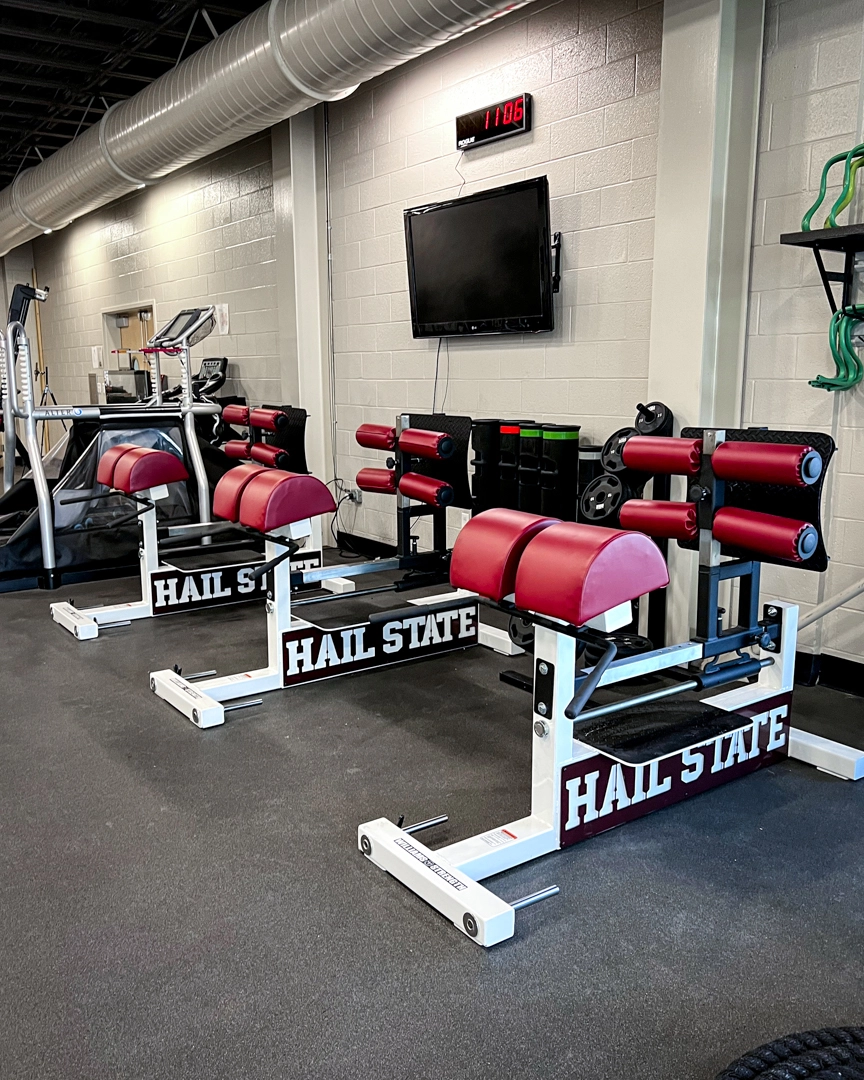 [WS] Signature Linear Bearing Glute/Ham Bench | Williams Strength