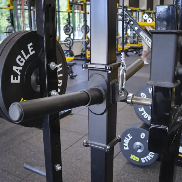 [WS] Deluxe Belt Squat - Small Footprint | Williams Strength