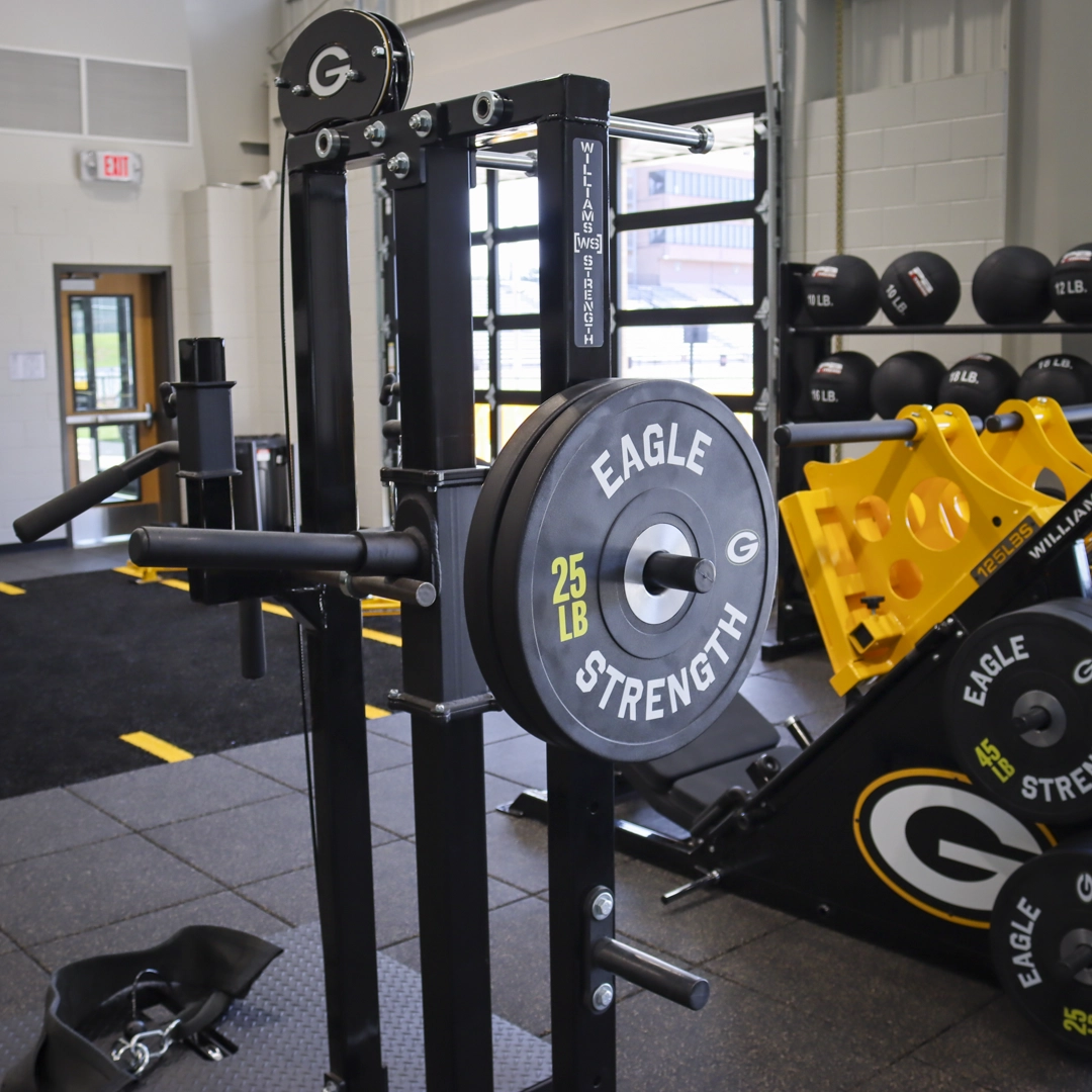[WS] Deluxe Belt Squat - Small Footprint | Williams Strength